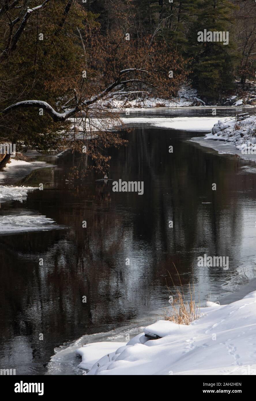 A river flowing through a forest in Muskoka with snow and ice ...