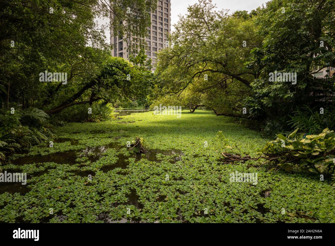 Botanical Garden, Taipei, Taiwan Stock Photo - Alamy