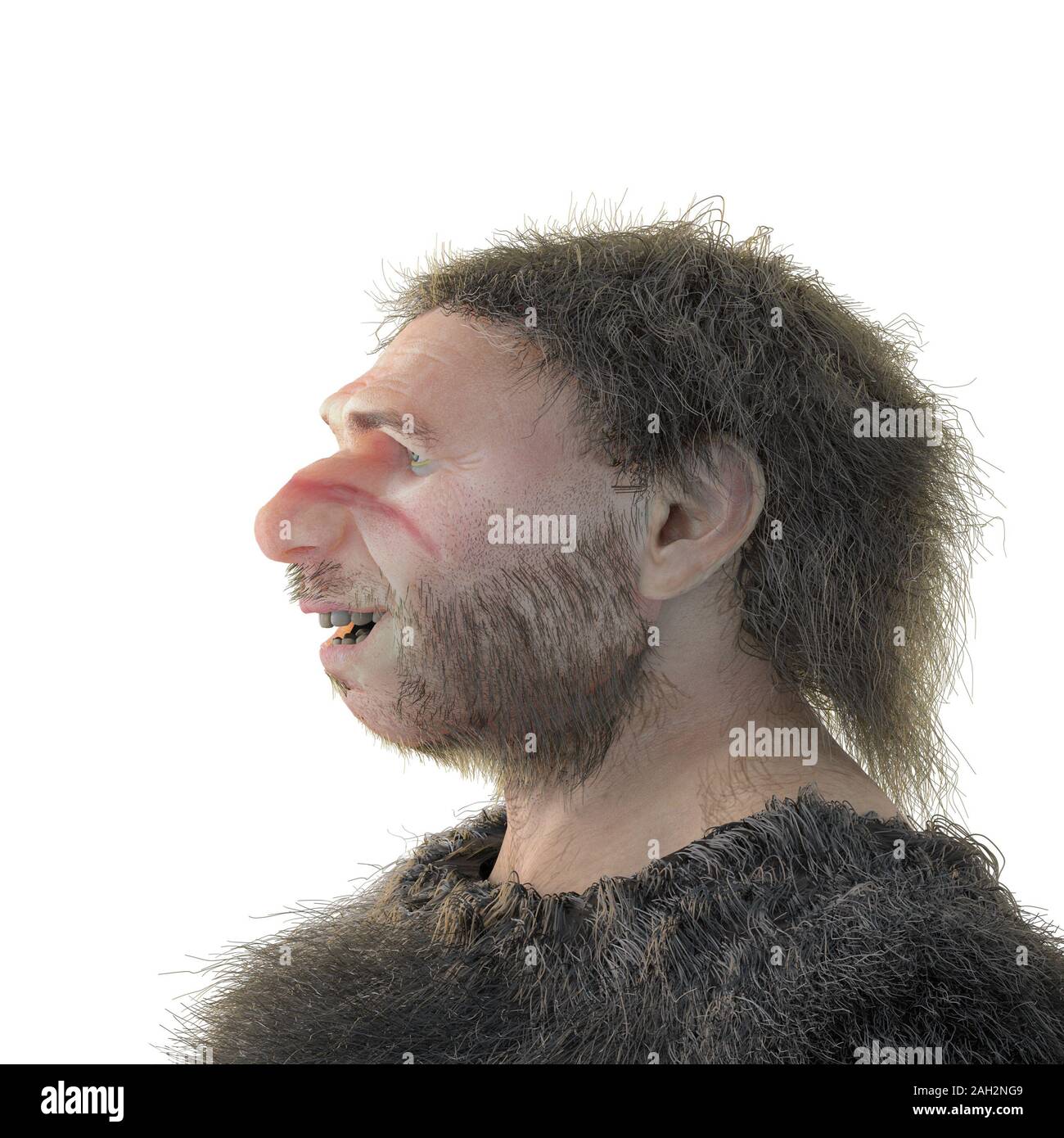 Neanderthal men hi-res stock photography and images - Alamy