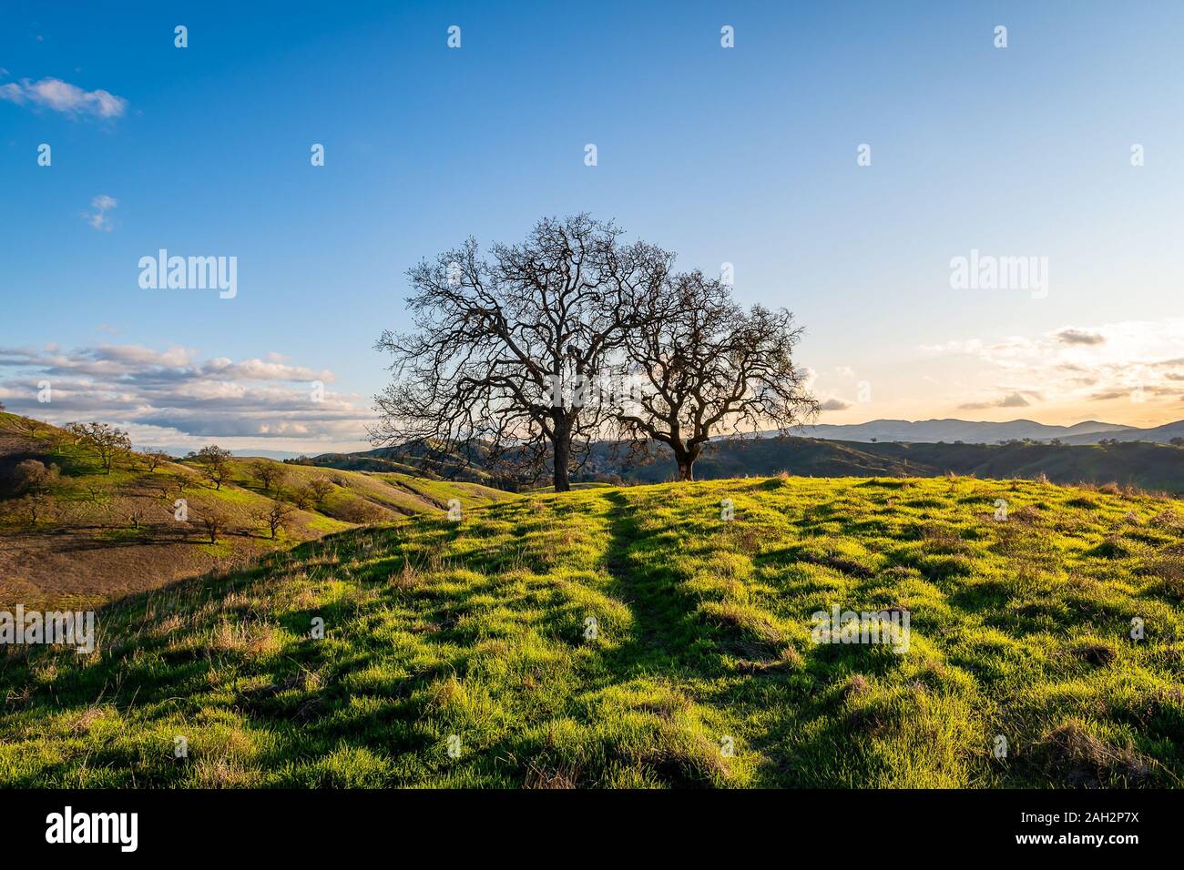 Mount Diablo State Park at Sunset Stock Photo - Alamy