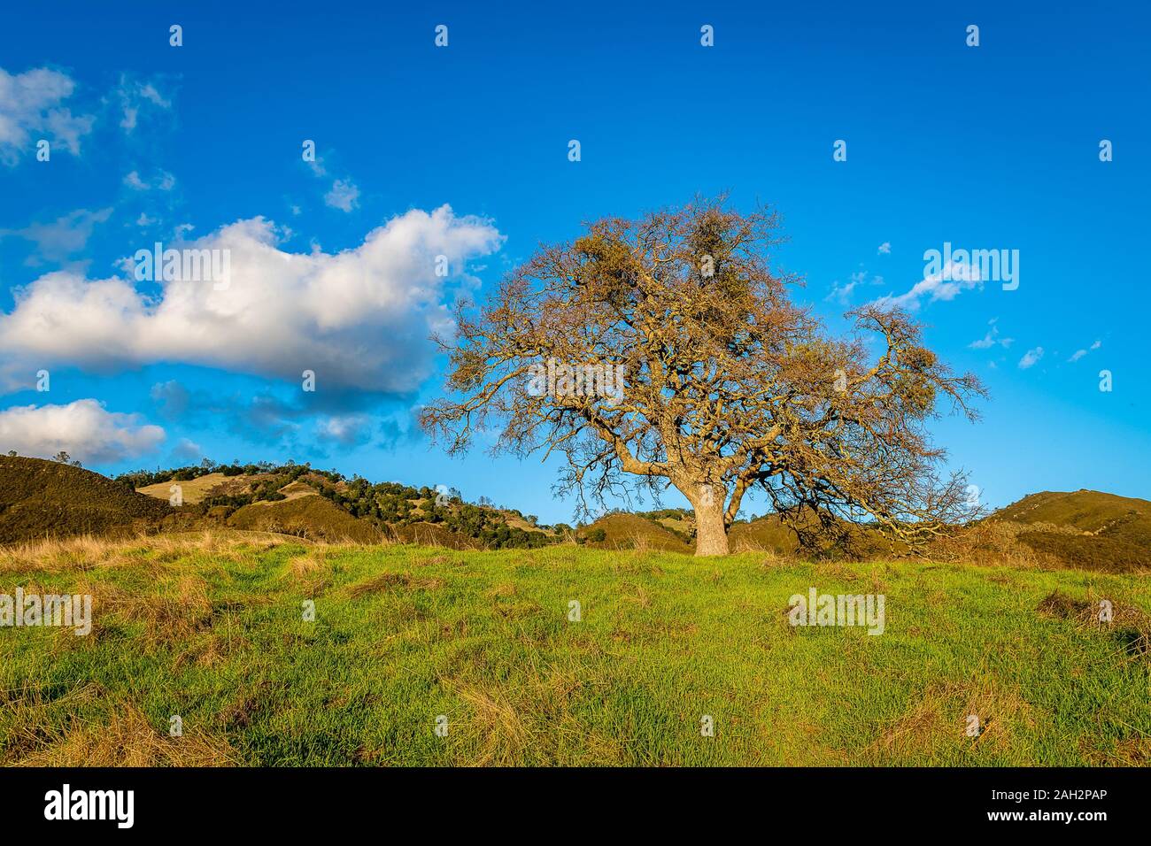Mount Diablo State Park at Sunset Stock Photo - Alamy