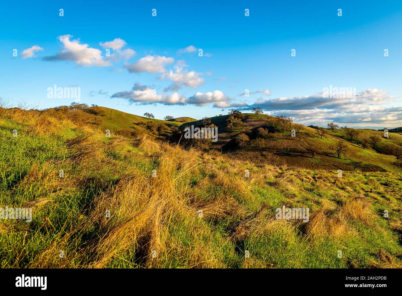 Mount Diablo State Park at Sunset Stock Photo - Alamy