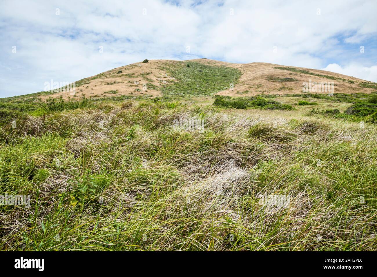 Marin hills hi-res stock photography and images - Alamy