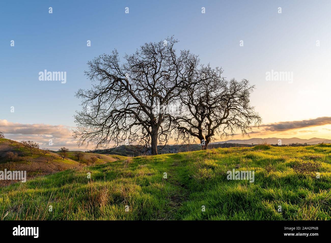 Mount Diablo State Park at Sunset Stock Photo - Alamy