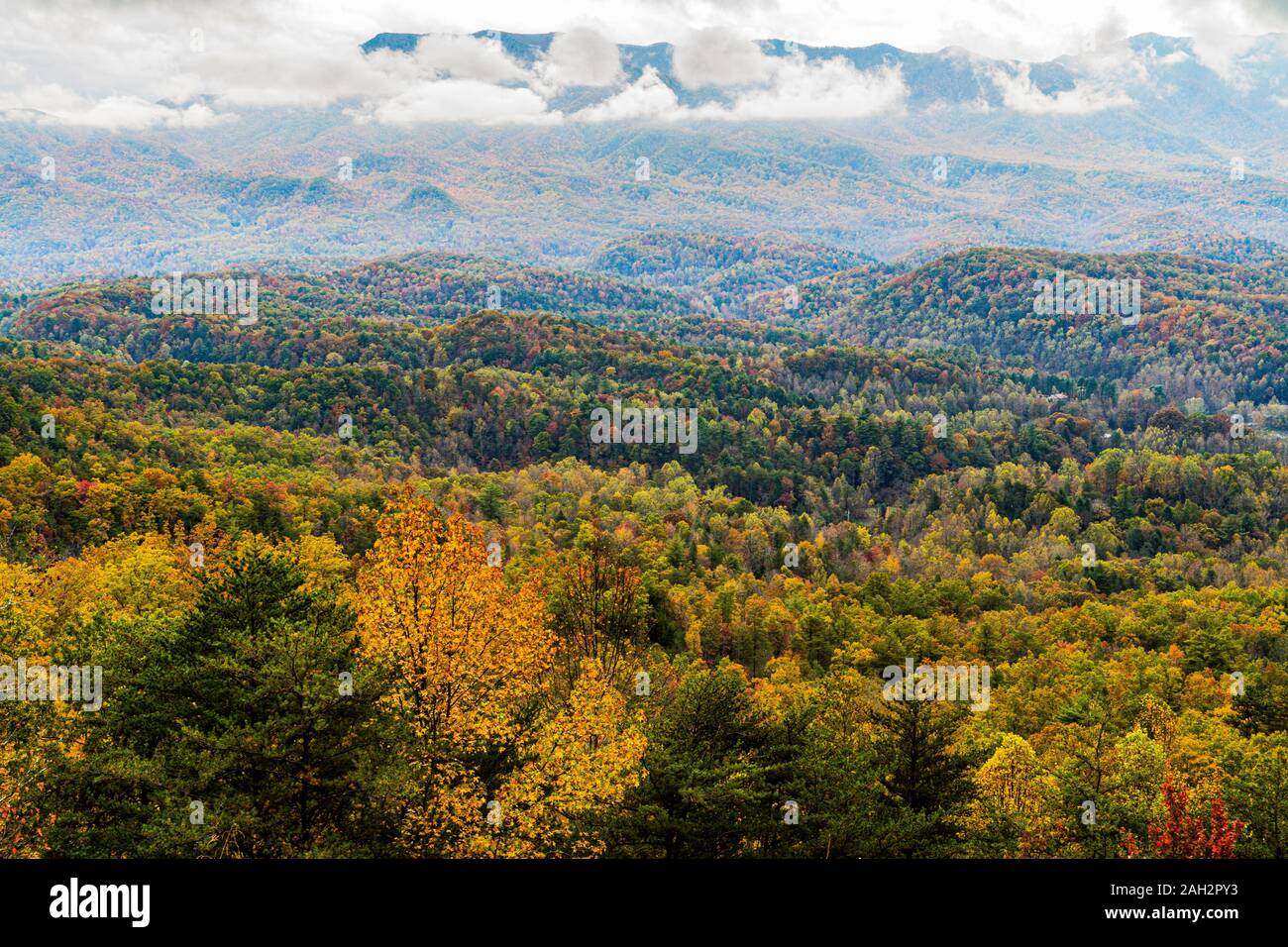 fall color, smoky mountains national park, tn us Stock Photo - Alamy