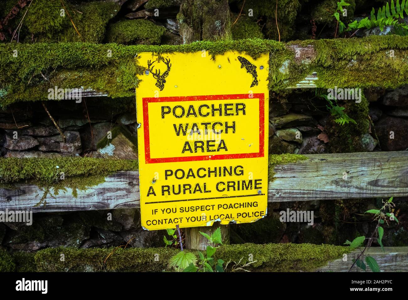 Poacher Watch Area Sign attached to a wooden fence Stock Photo - Alamy