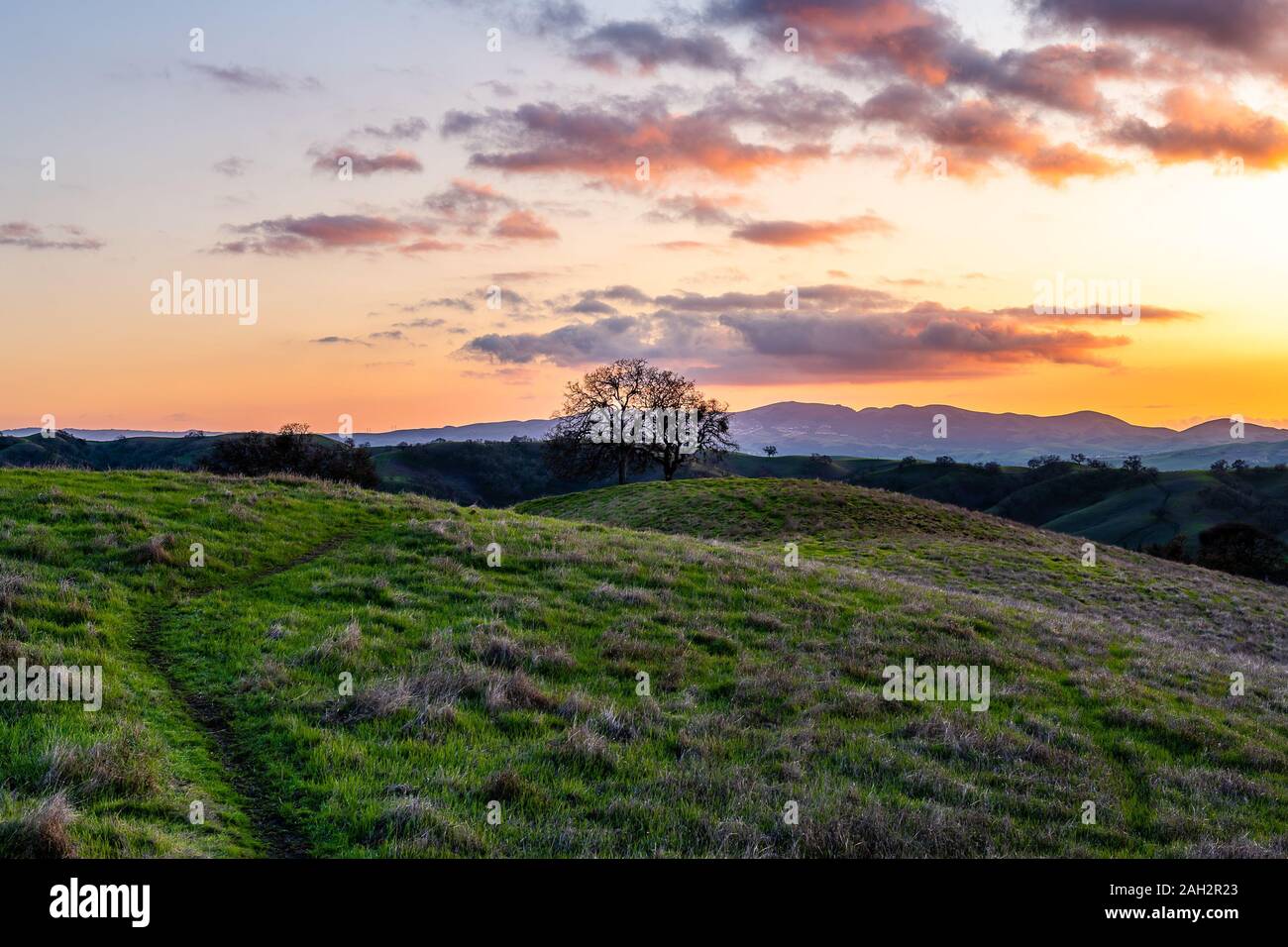 Mount Diablo State Park at Dusk Stock Photo - Alamy
