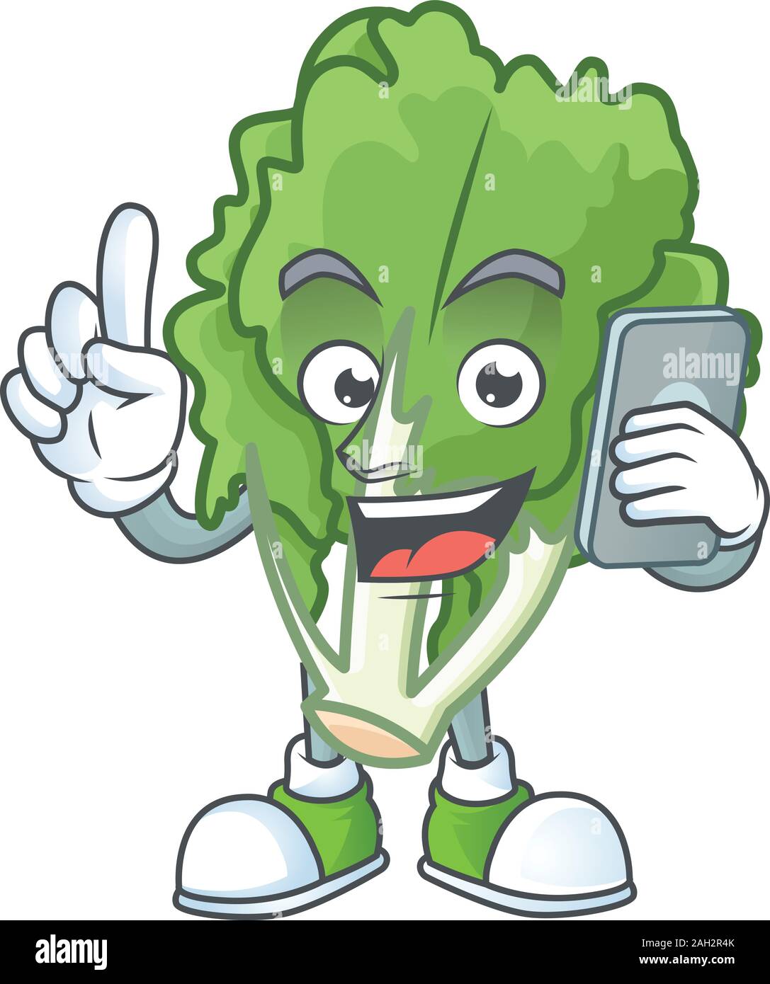 Endive lettuce Stock Vector Images - Alamy