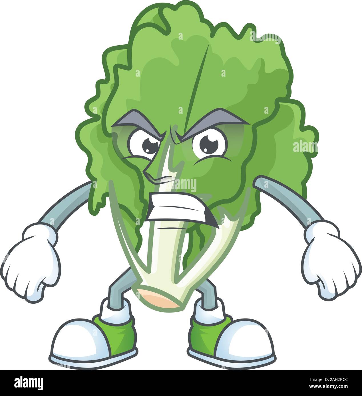 Curly endive illustration hi-res stock photography and images - Alamy