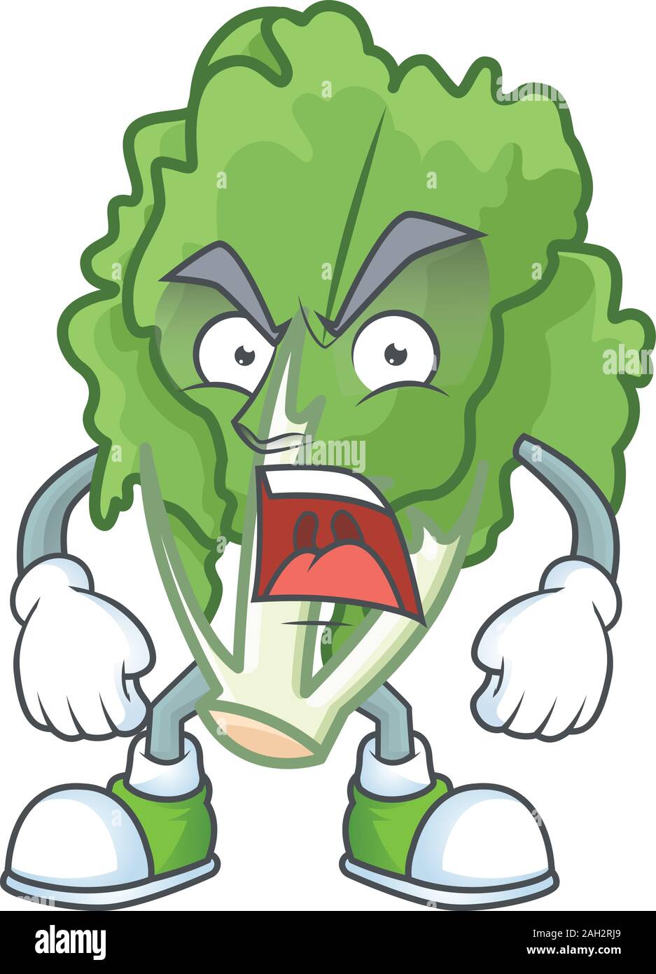 Endive leaves Stock Vector Images - Alamy