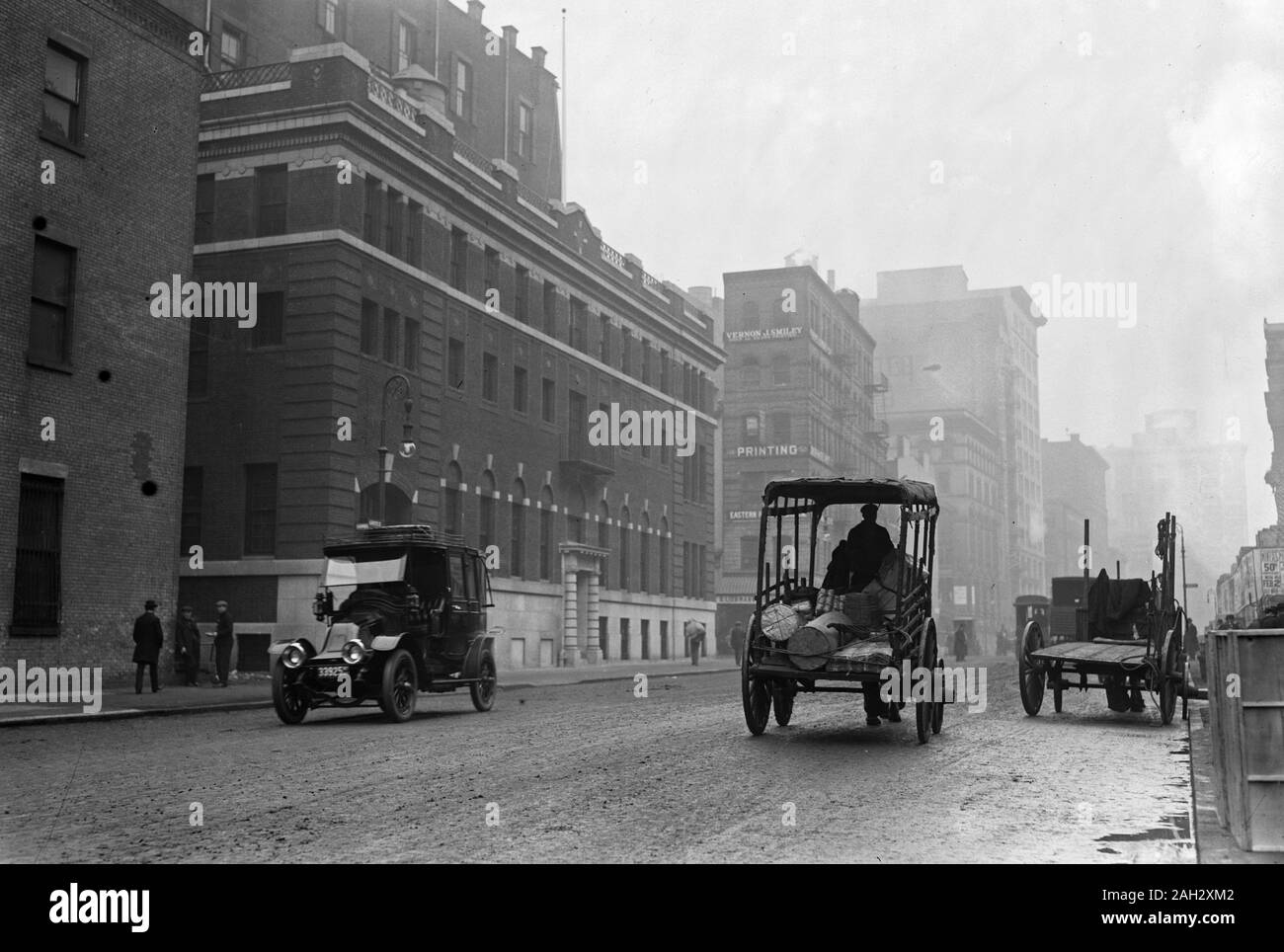 N animals Black and White Stock Photos & Images - Alamy