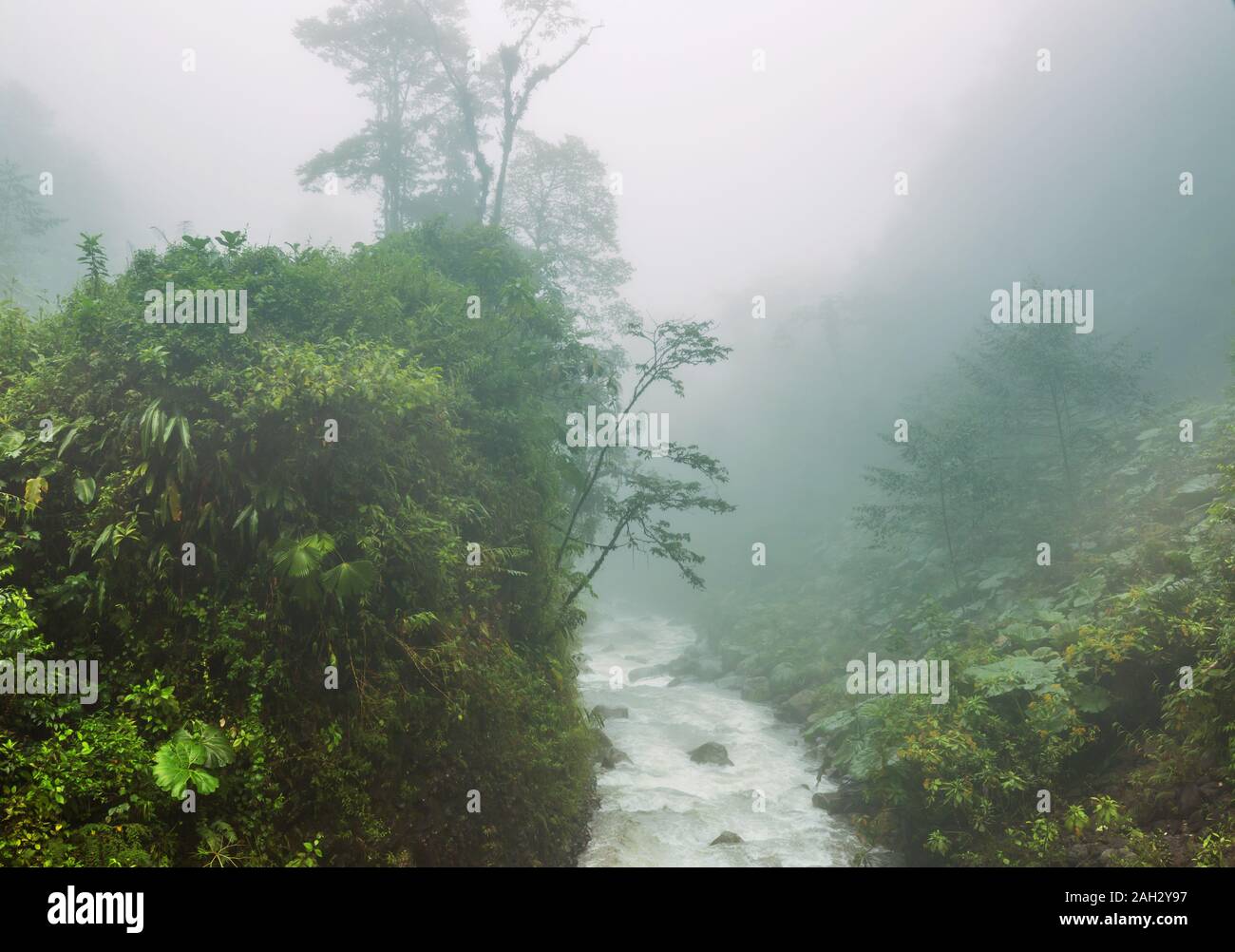 Cloud forest costa rica condensation hi-res stock photography and ...
