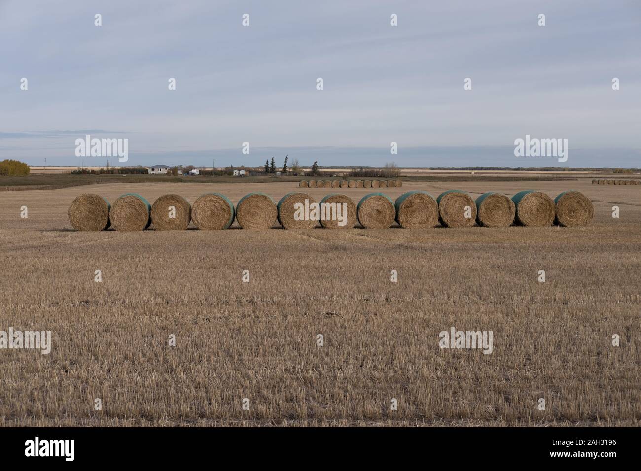 Alberta prairie sky hi-res stock photography and images - Alamy
