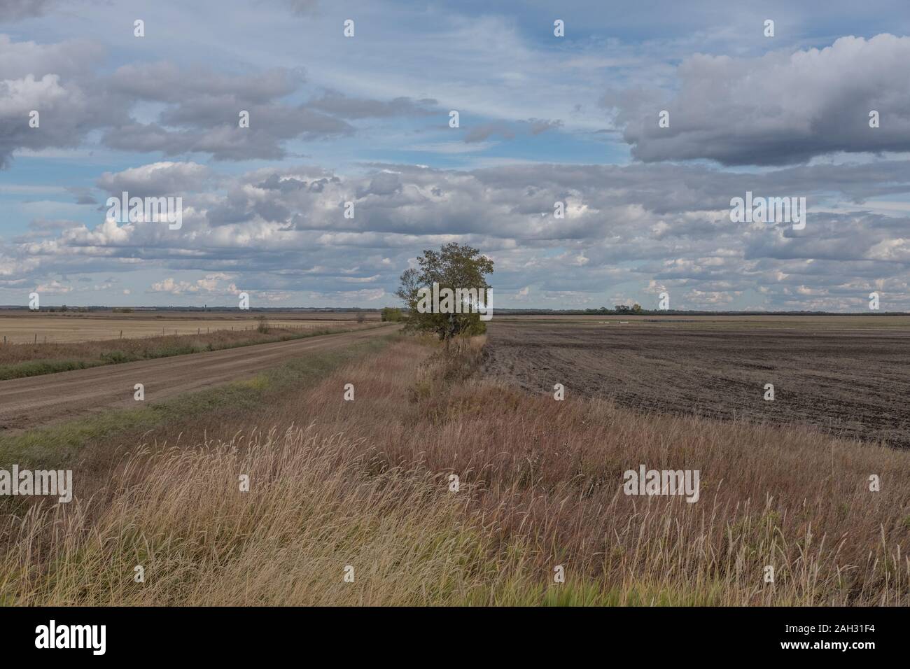 Canada prairie road hi-res stock photography and images - Alamy
