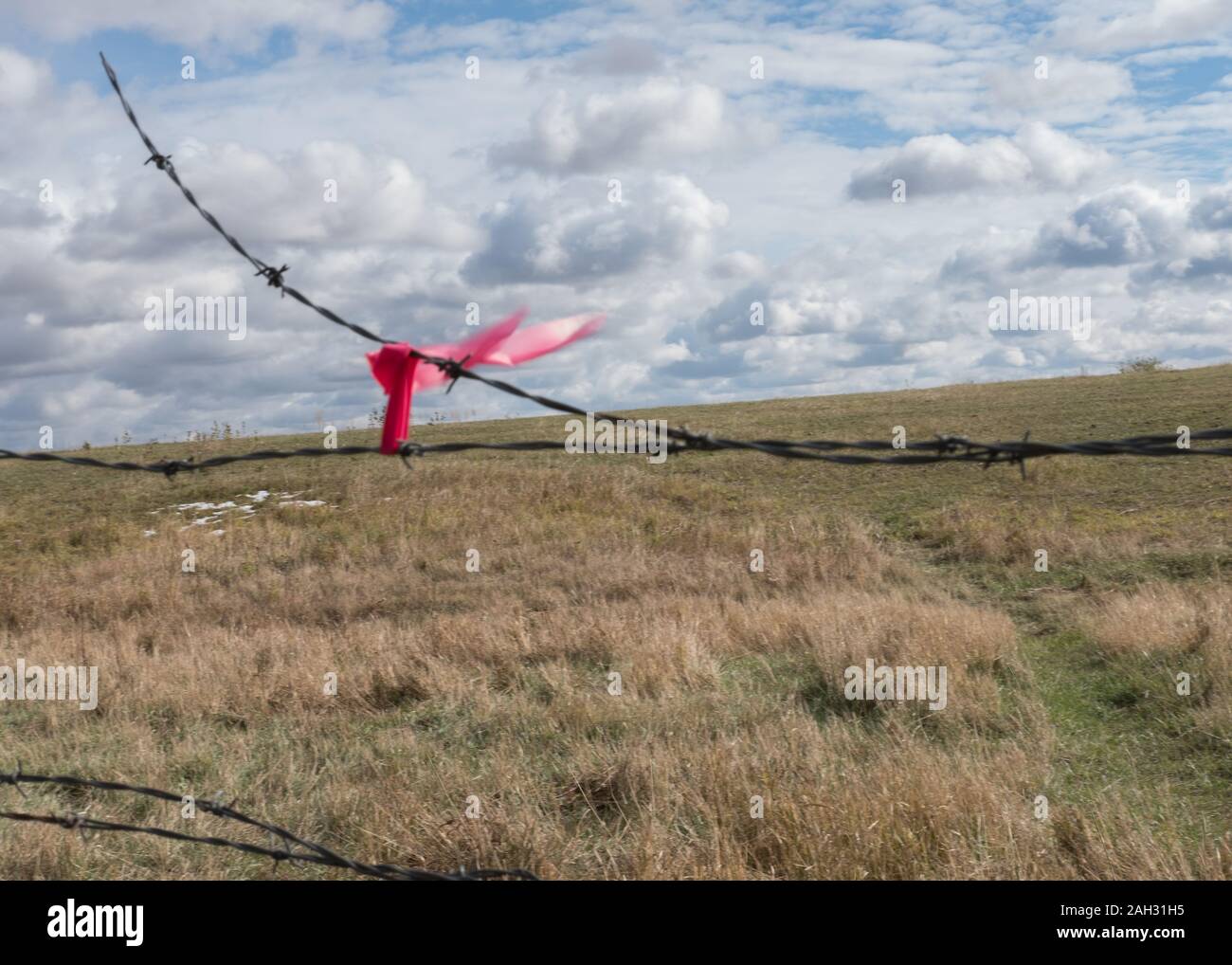 Canada prairie horizon hi-res stock photography and images - Alamy