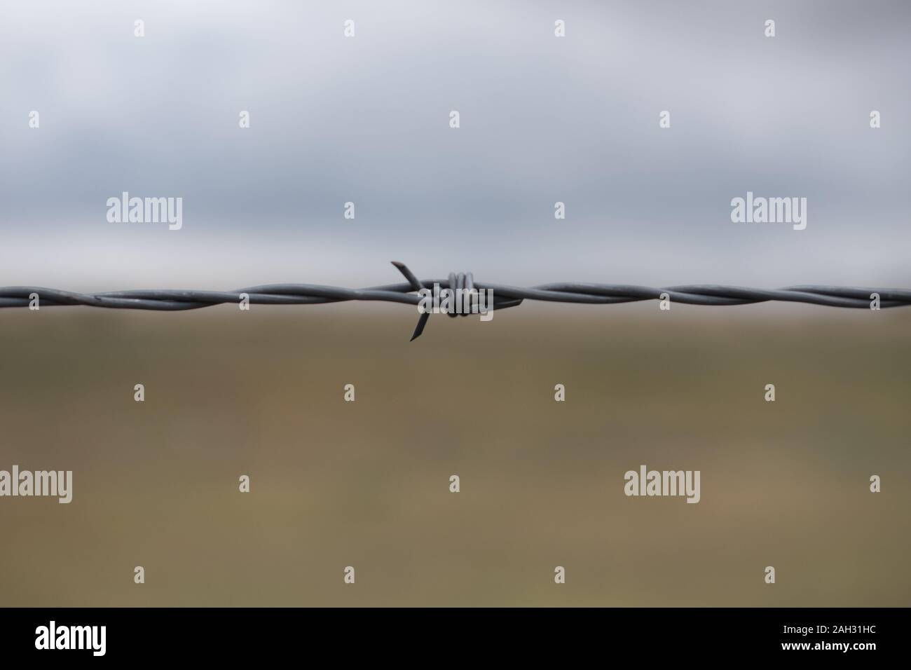 Barbed Wire Fence Stock Photo - Alamy