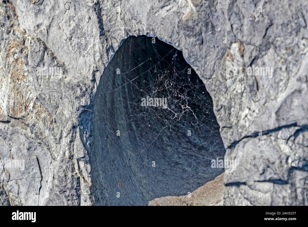 Animal pit trap hi-res stock photography and images - Alamy