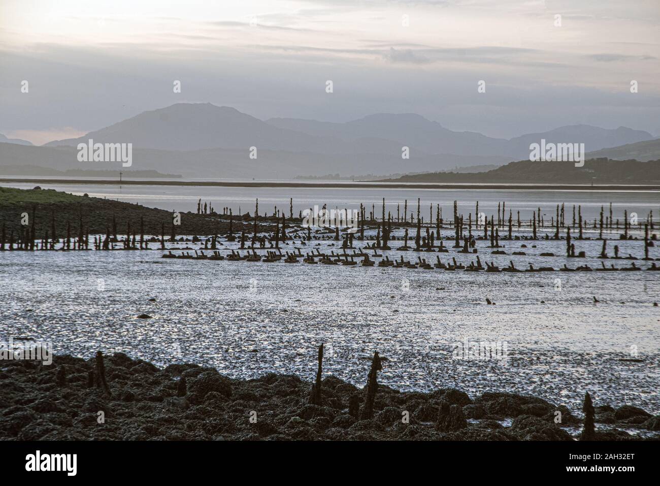 Timber ponds park lee Stock Photo - Alamy