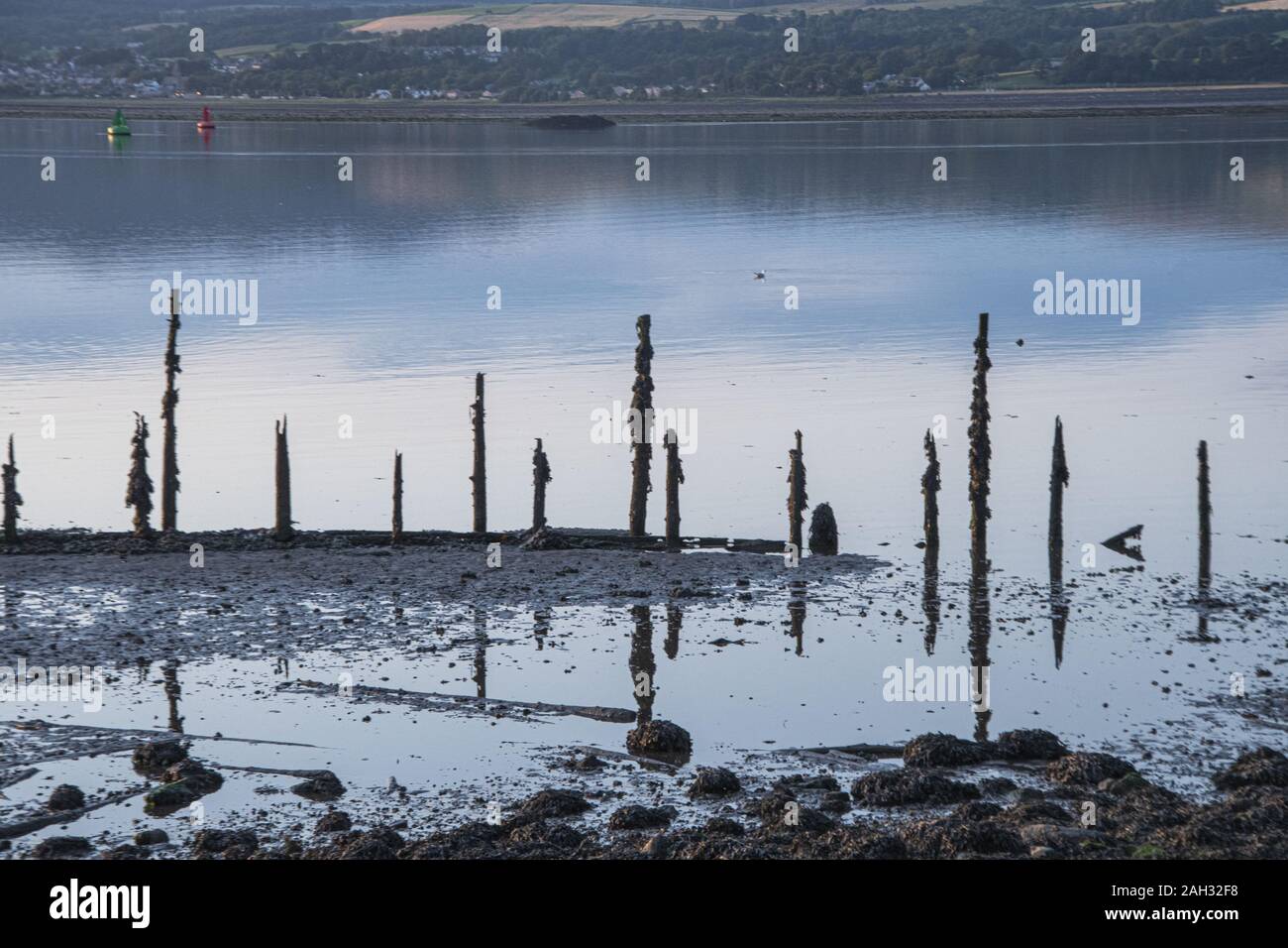 Timber ponds park lee Stock Photo - Alamy