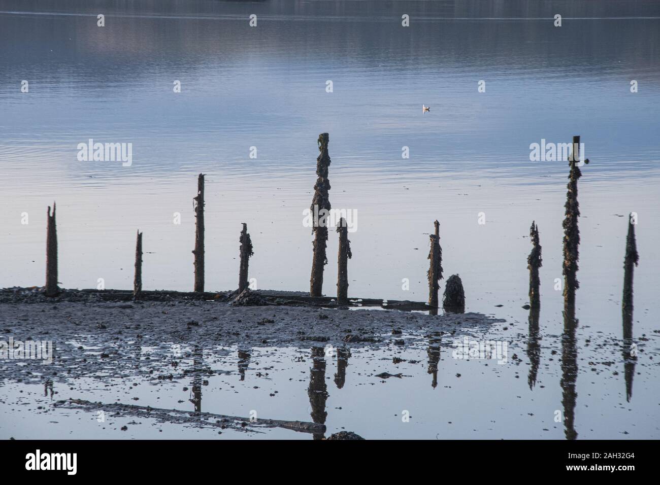 Timber ponds park lee Stock Photo - Alamy