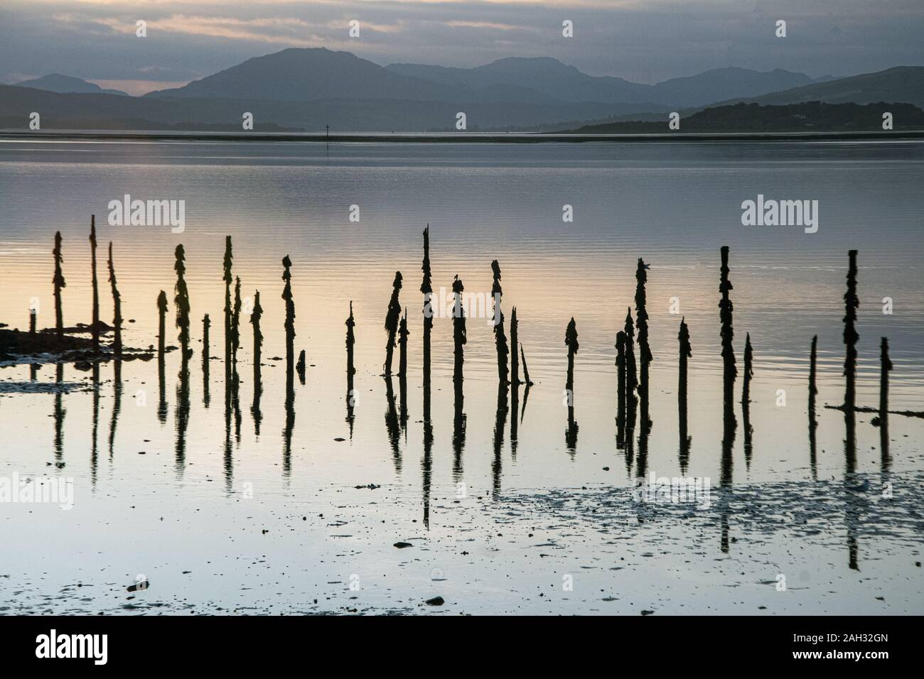 Timber ponds park lee Stock Photo - Alamy