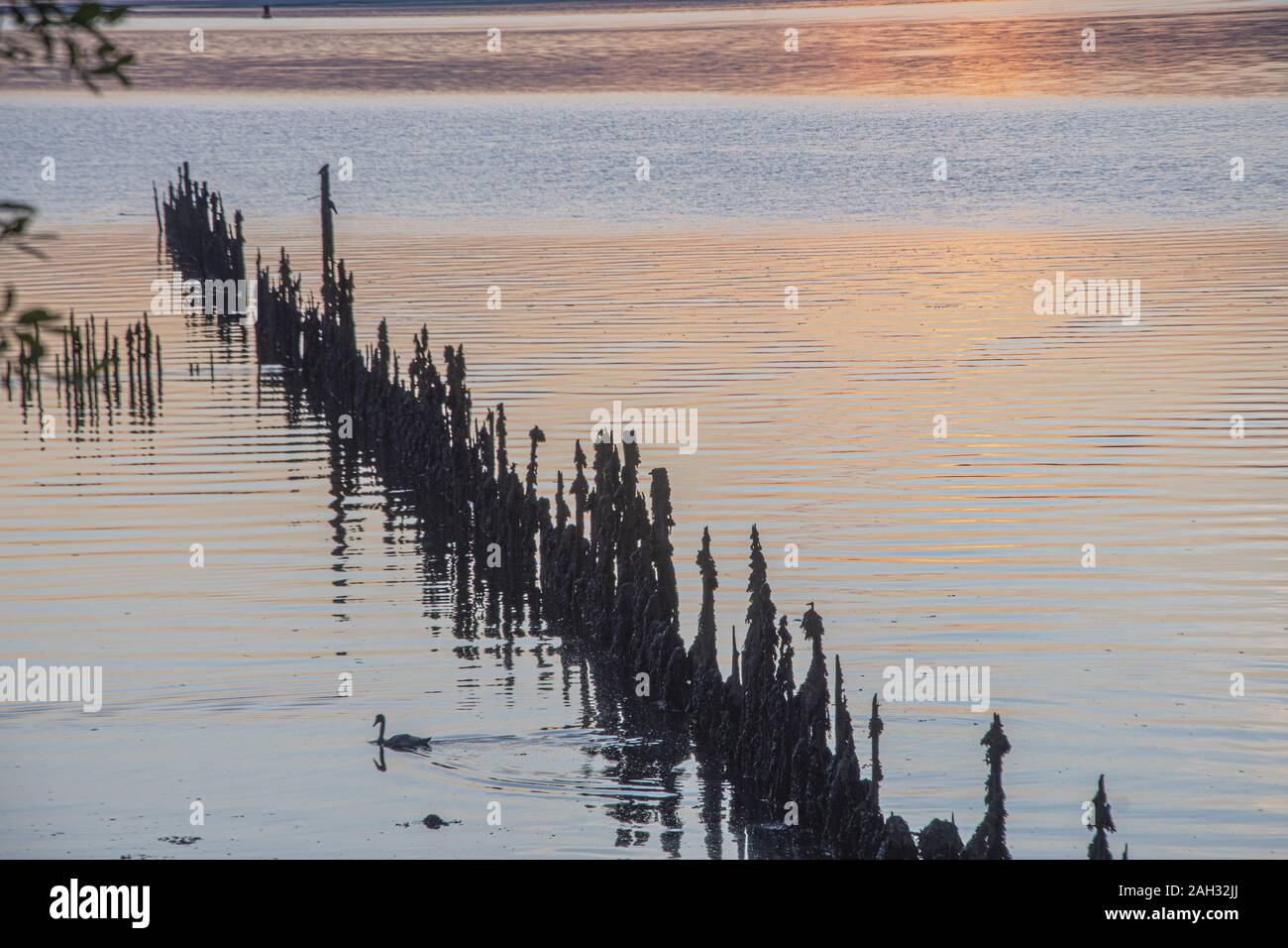 Timber ponds park lee Stock Photo - Alamy