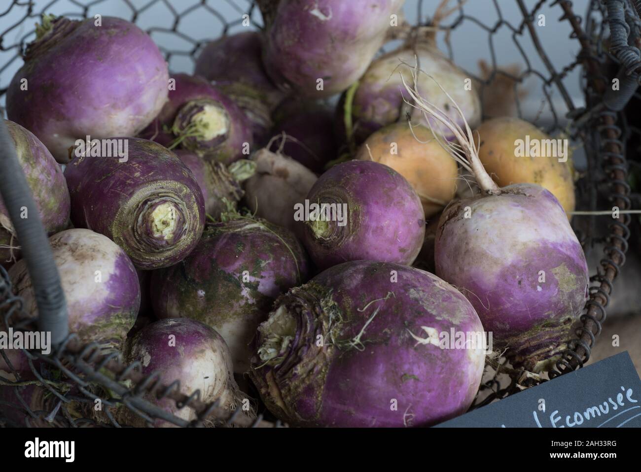 Type of turnip hi-res stock photography and images - Alamy