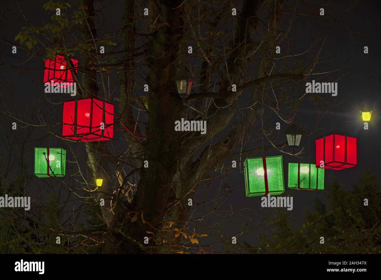 Lanterns on trees hi-res stock photography and images - Alamy