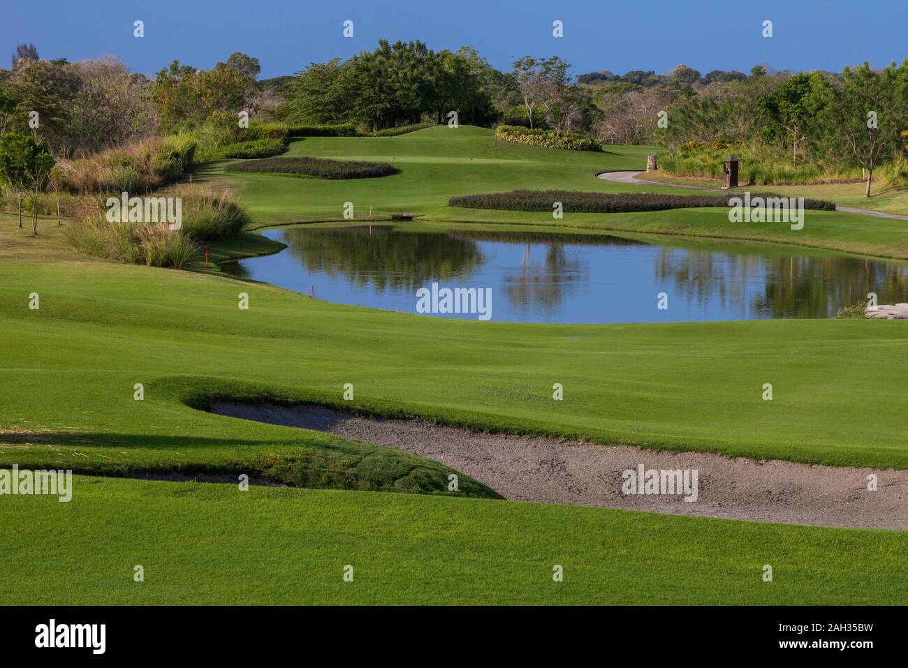 Pond in a golf course Stock Photo - Alamy