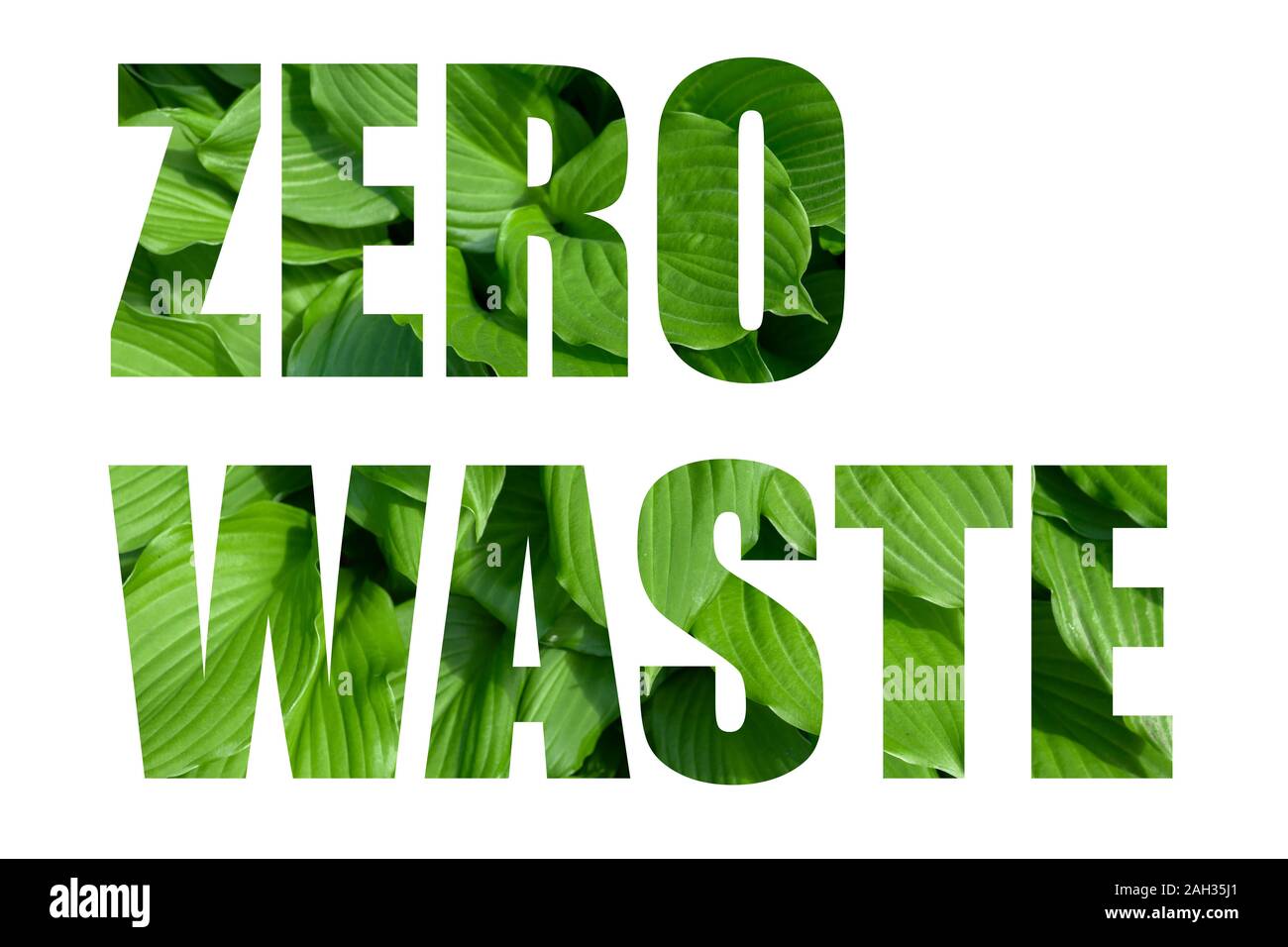 zero waste text with green leaves on white background Stock Photo - Alamy