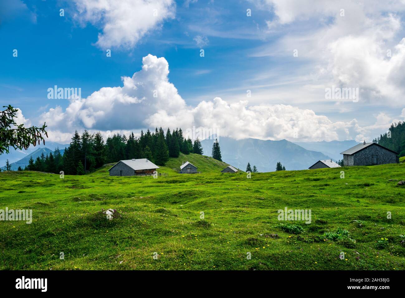 Alm cow in bavaria hi-res stock photography and images - Alamy