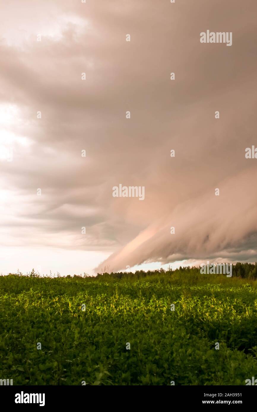 Dramatical sky and clouds before the storm over the green field and ...