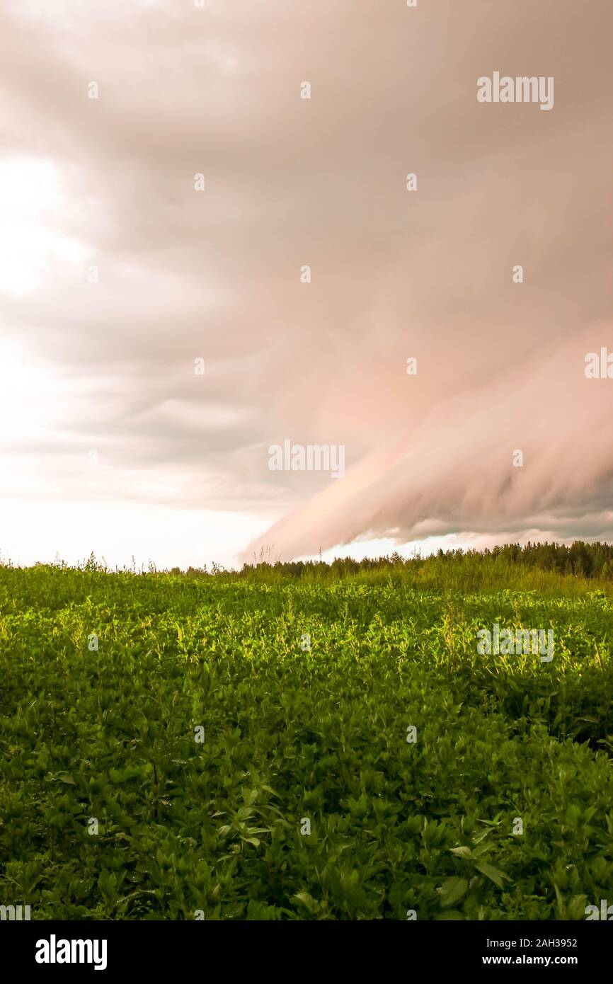Dramatical sky and clouds before the storm over the green field and ...