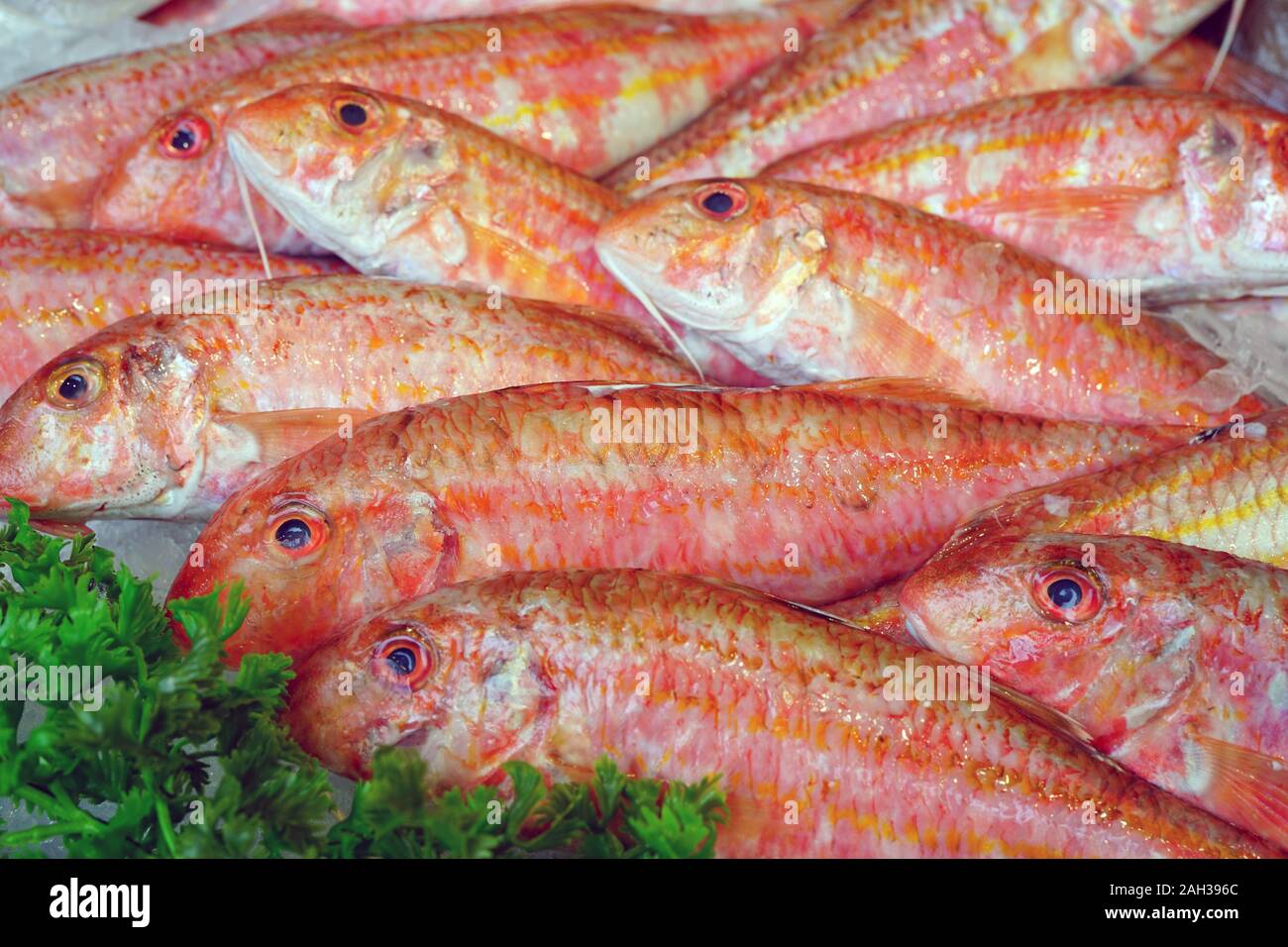 View of red mullet (rouget barbet) fish at a French seafood market ...