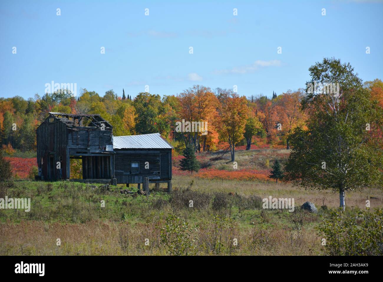 Old farm buildings in fall in Northern Ontario Stock Photo - Alamy