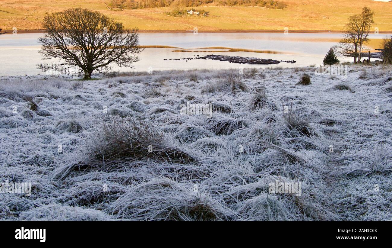 Gryffe no 2 Reservoir Stock Photo - Alamy