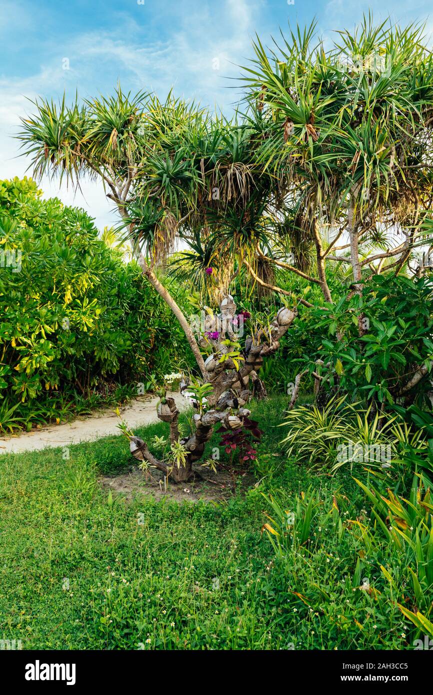 A small jungle in the middle of the Maldives with sandy paths and sun ...