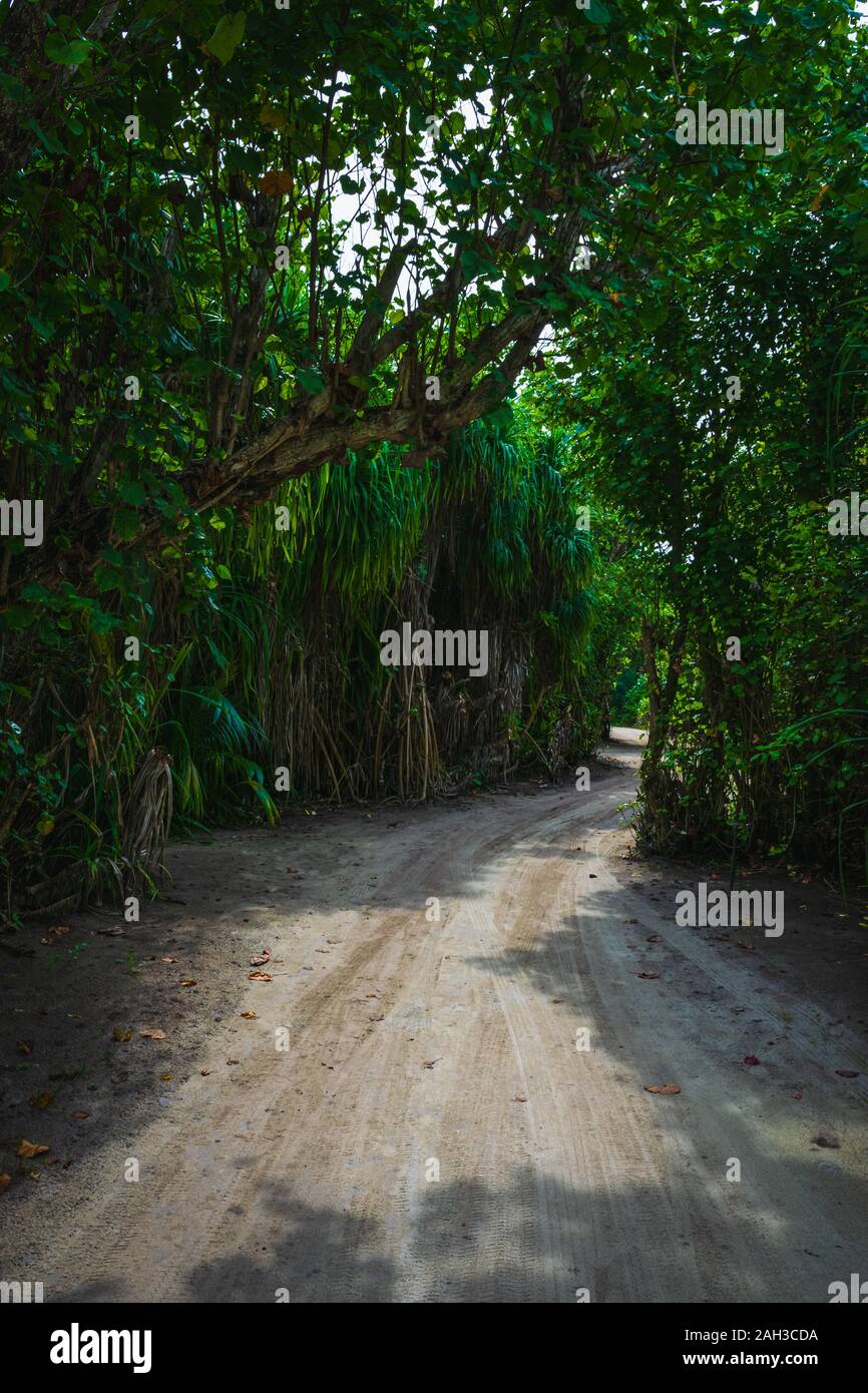A small jungle in the middle of the Maldives with sandy paths and sun ...