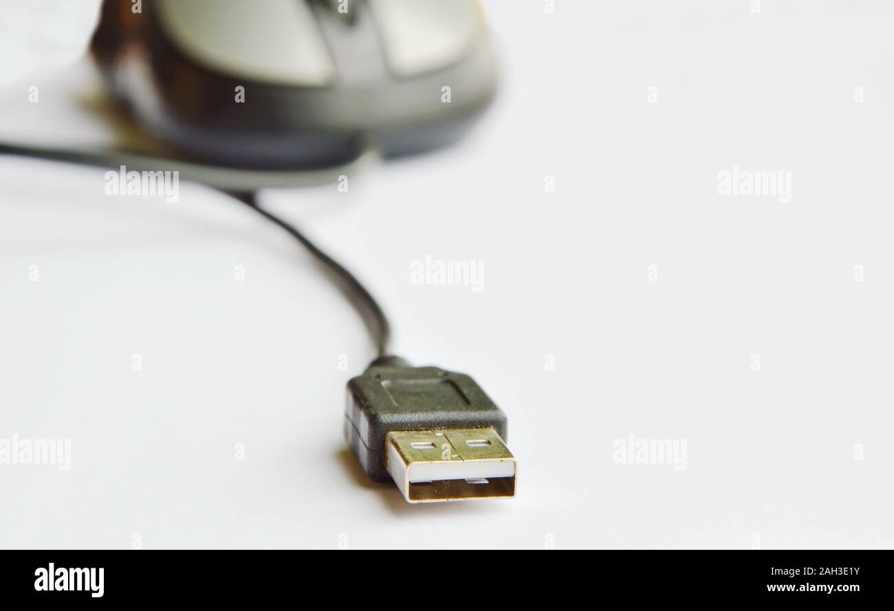 White mouse bus hi-res stock photography and images - Alamy