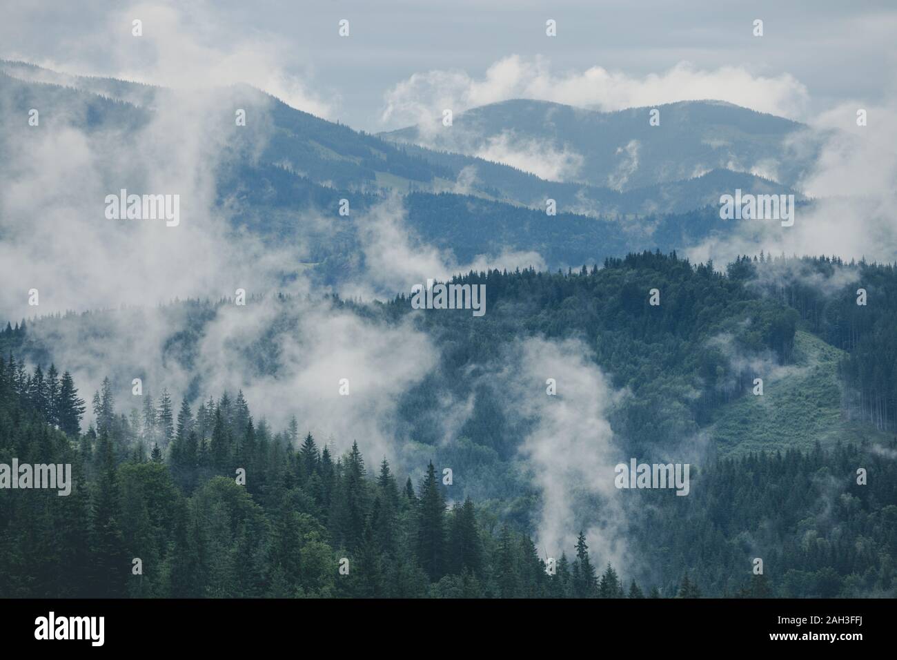 Misty landscape of mountain and forest. Summer foggy and cloudy morning ...