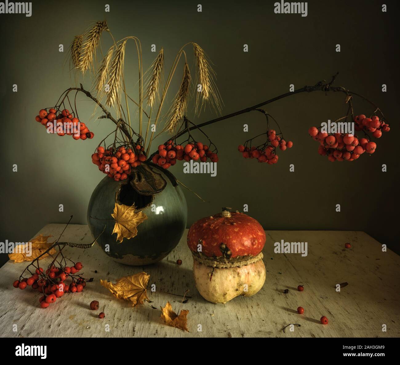 Rowan harvest hi-res stock photography and images - Alamy