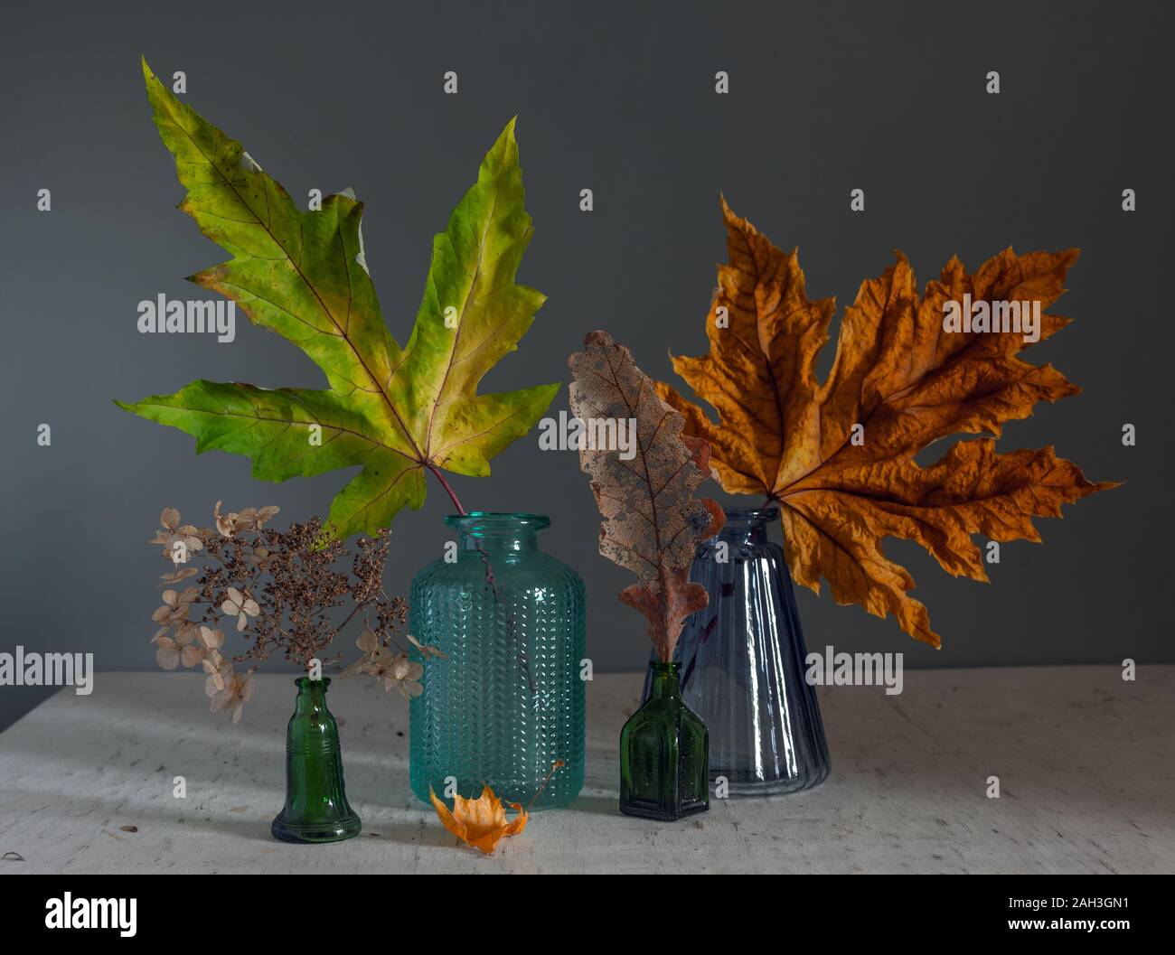 Still life with autumn leaves. Nature, Minimalism Stock Photo - Alamy