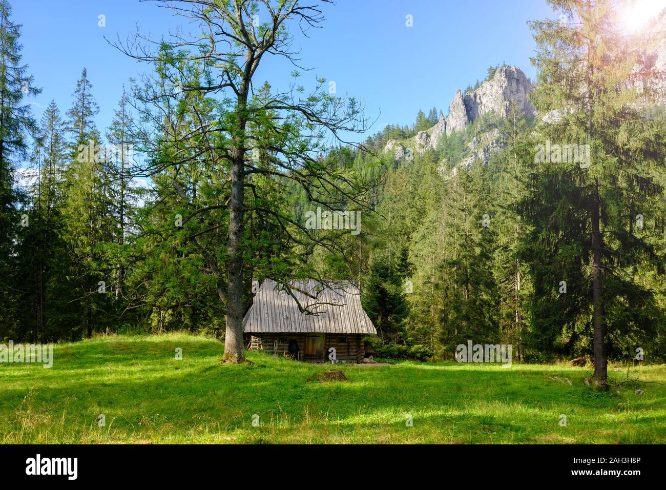 wooden house in the austrian alpine forest. Summer sunny landscape ...