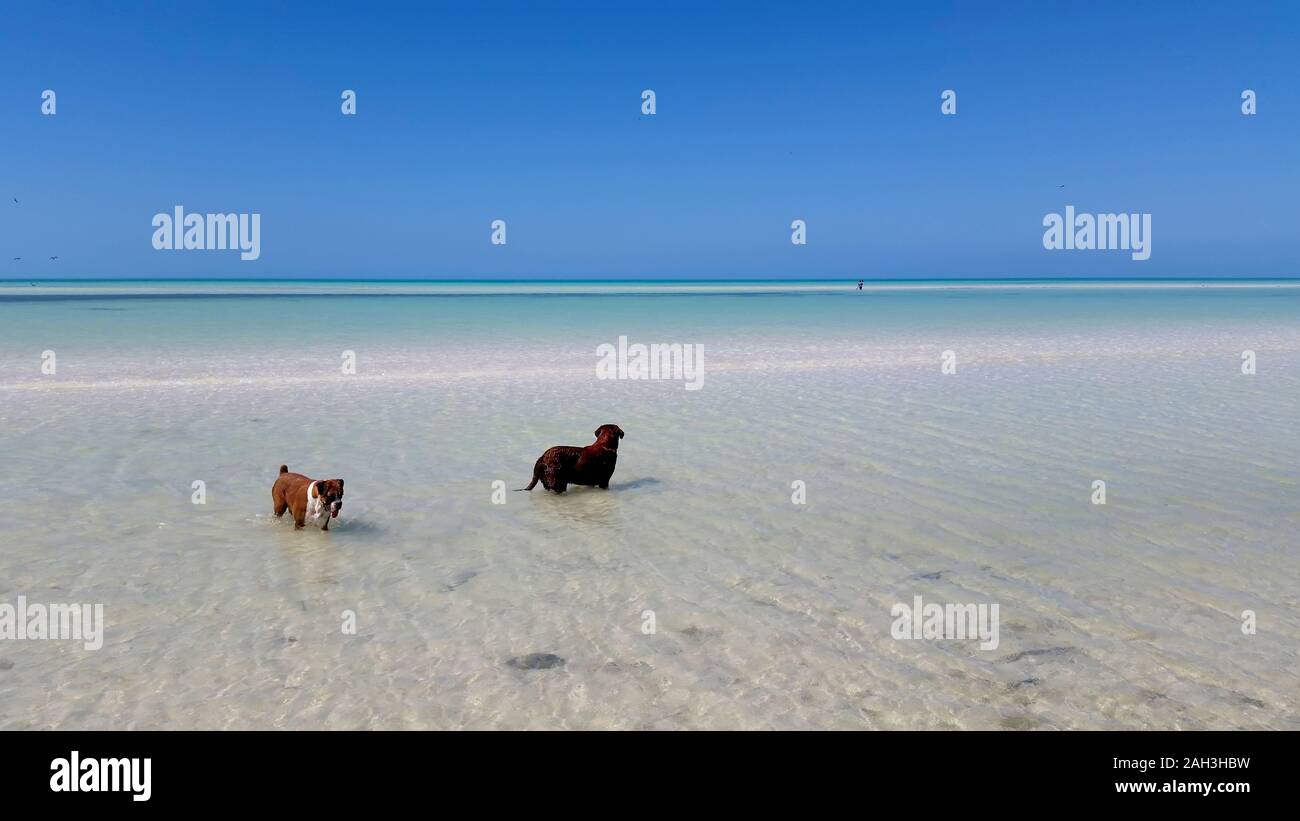 Caribbean portrait smile beach hi-res stock photography and images - Alamy