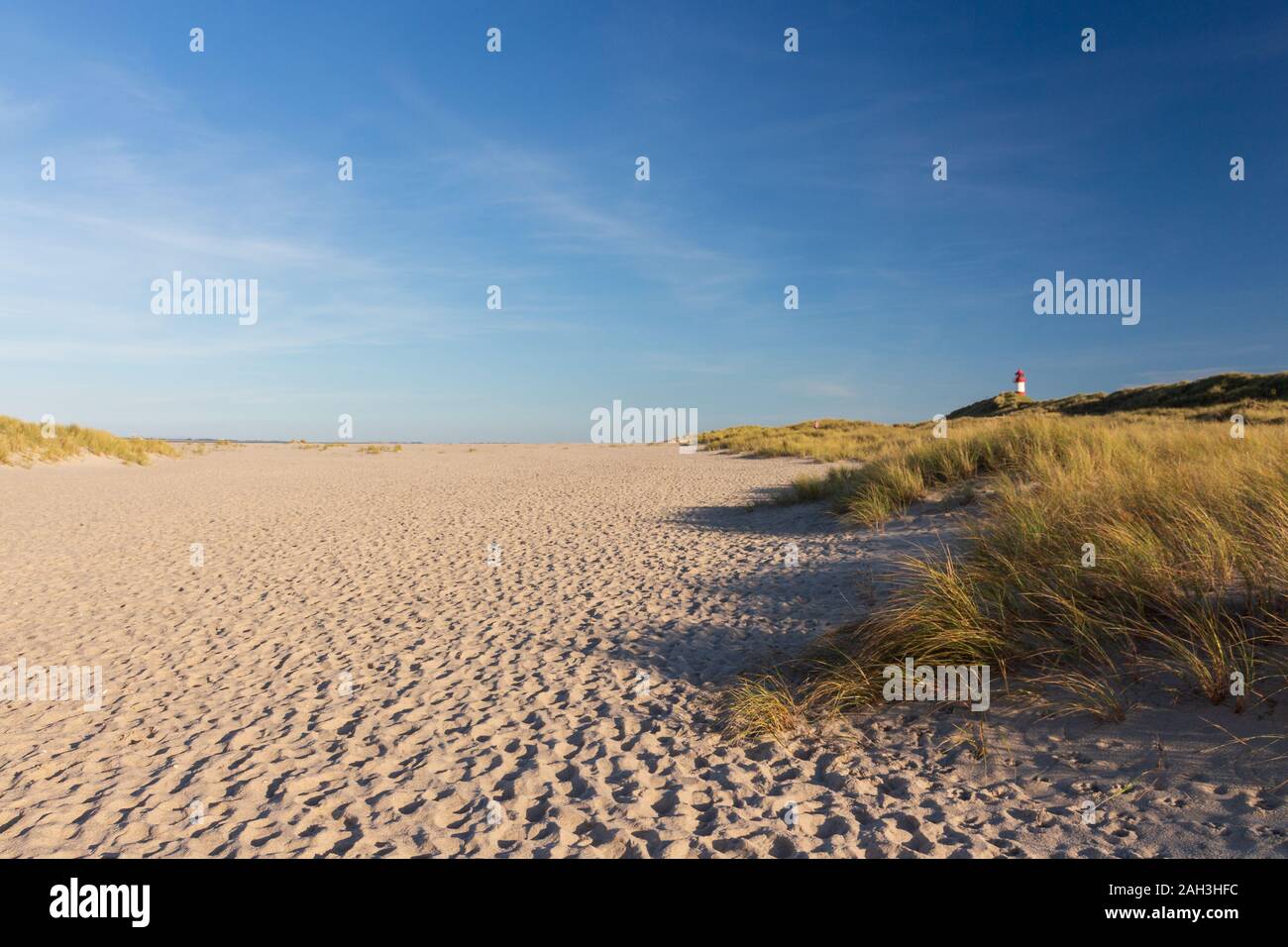 Landschaft sylt hi-res stock photography and images - Alamy