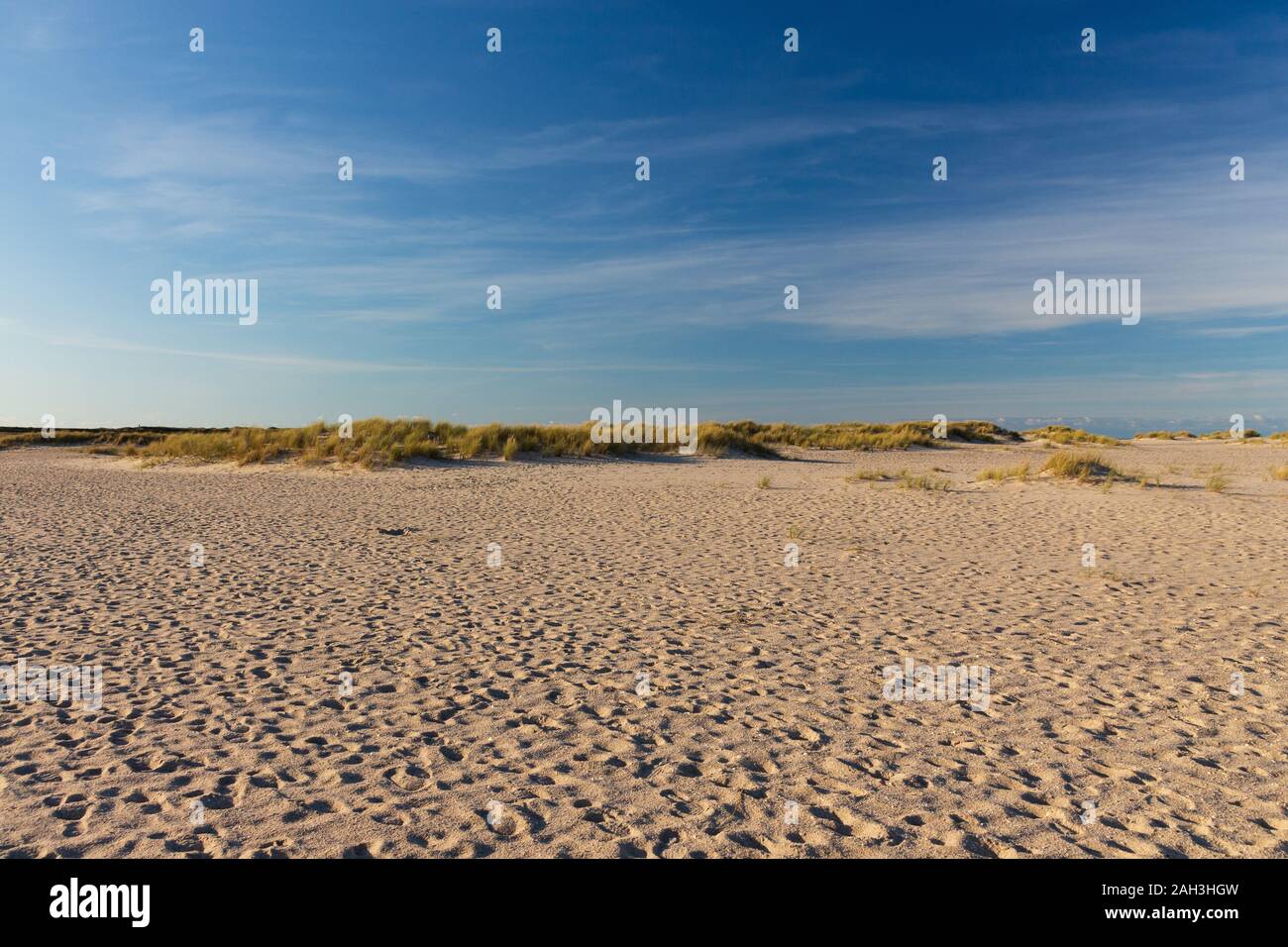 Ellenbogen sylt hi-res stock photography and images - Alamy