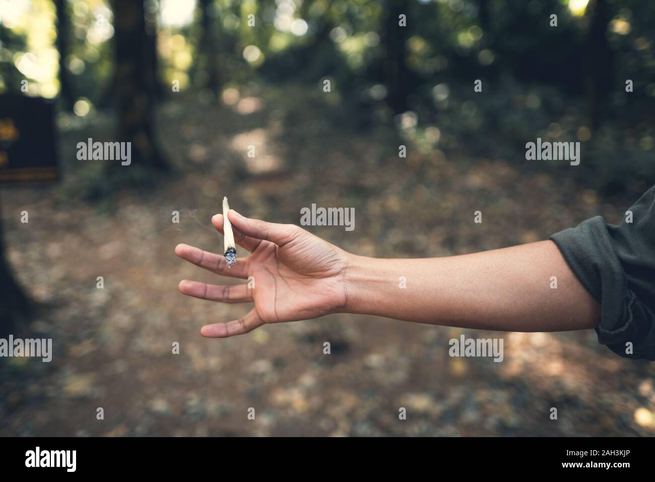 Homemade cigarettes in the countryside with banana leaves Stock Photo ...