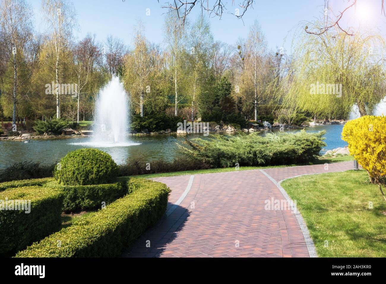 Sunlight in the green city park. Spring time nature park landscape with ...