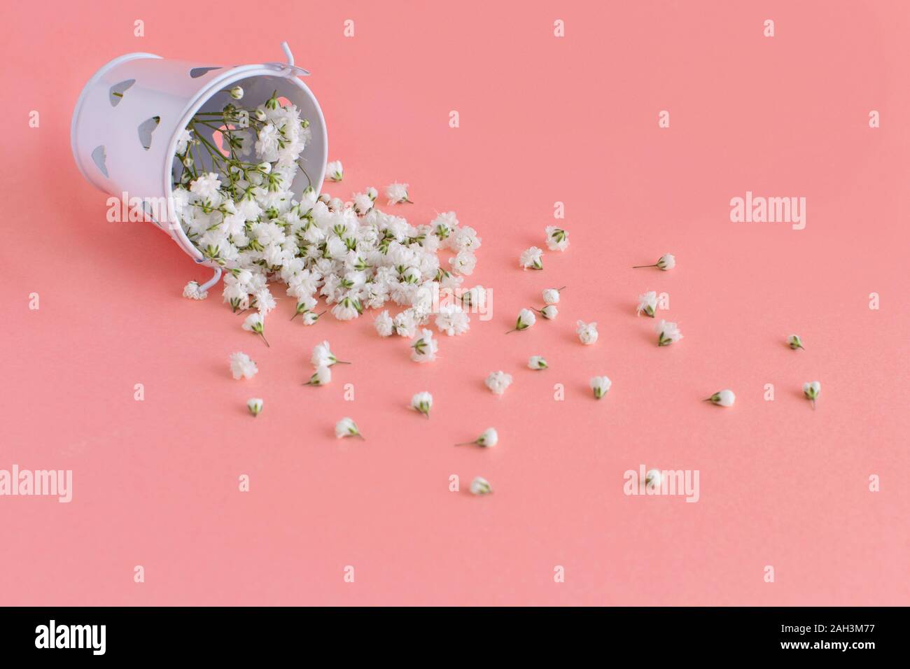 Wedding card flower bucket hi-res stock photography and images - Alamy