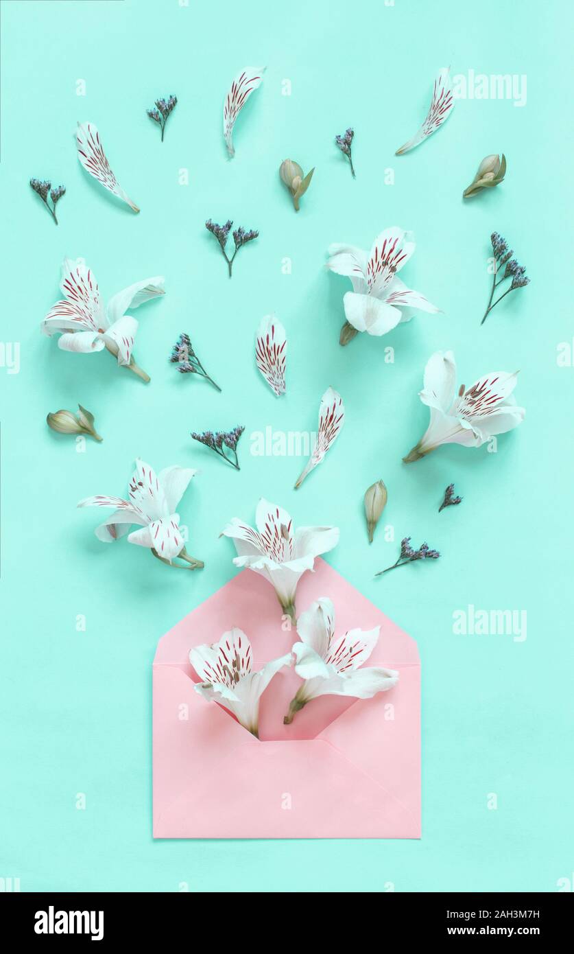 White flowers exploding from light pink envelope on a light green ...
